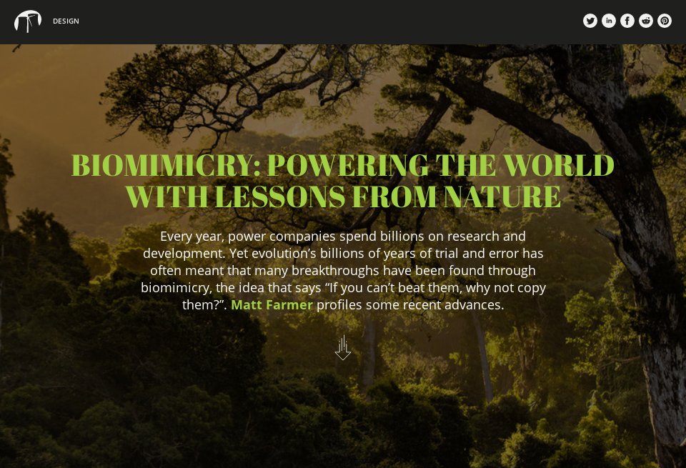 Biomimicry: powering the world with lessons from nature - Future Power ...